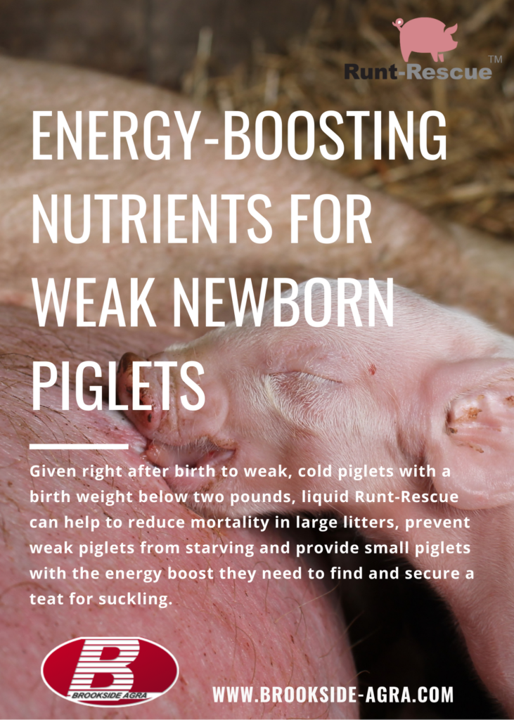 Brookside Agra’s Runt-Rescue Provides Energy-Boosting Nutrients for ...